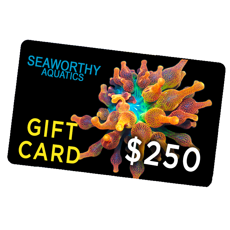 Gift Cards – Seaworthy Aquatics